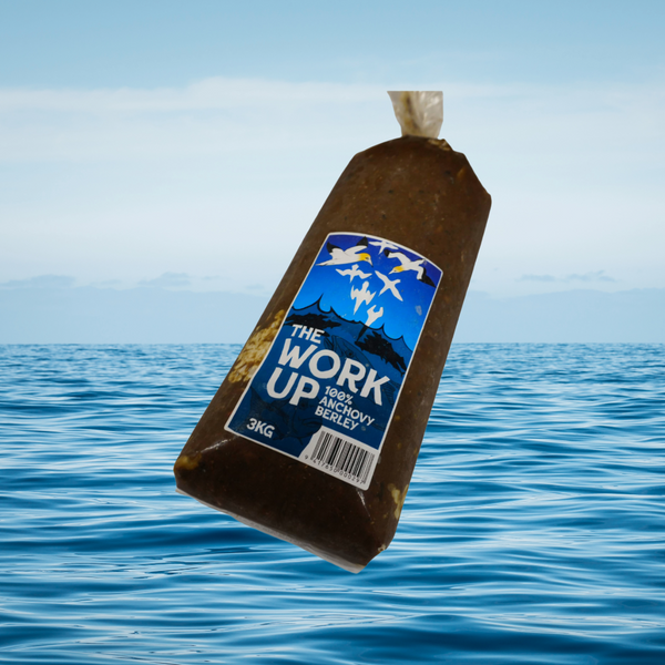 100% Anchovy Berley 3KG – Top Catch